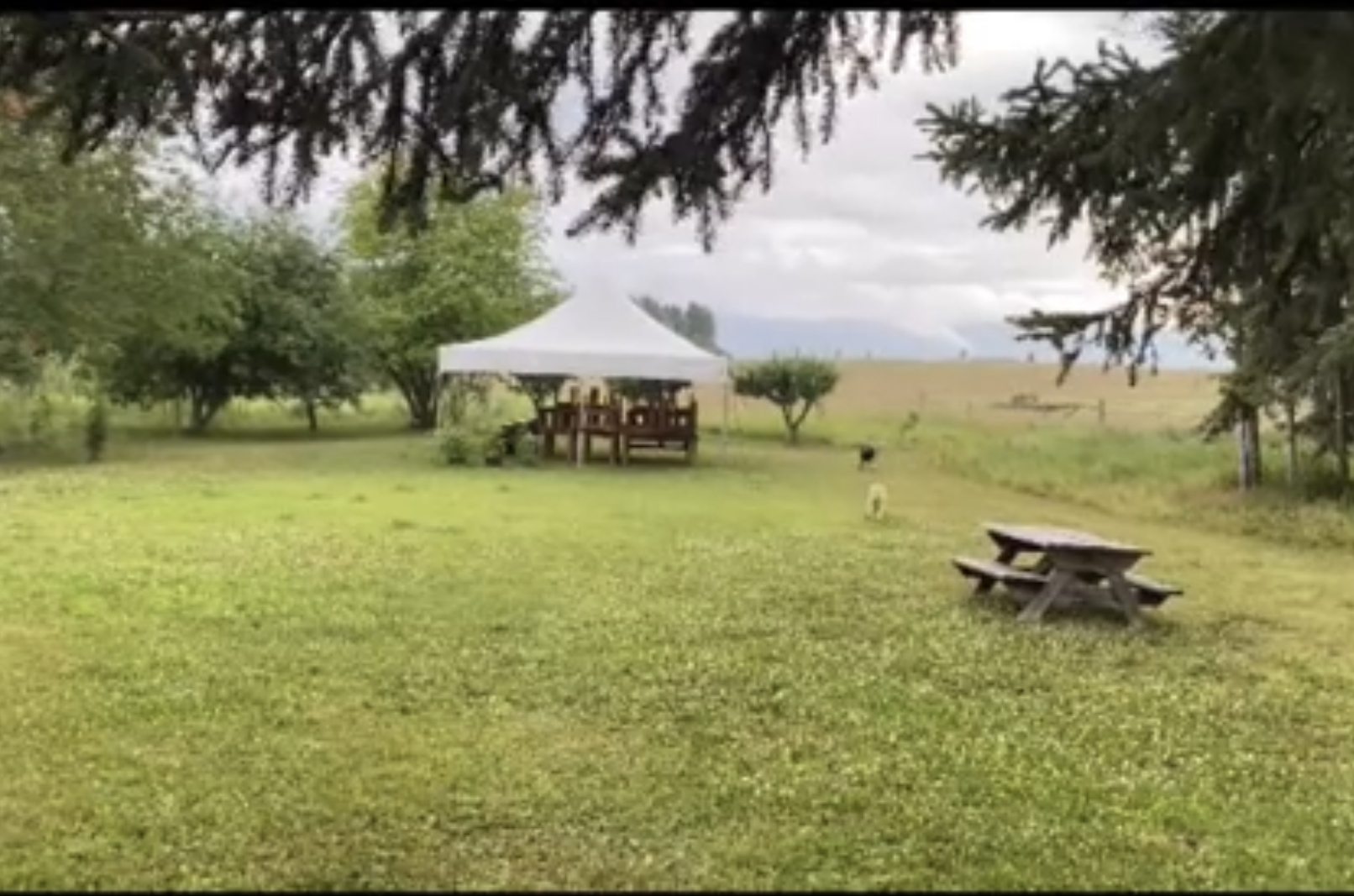 Bespoke Summer Feast » Cycle 16 Trail Society